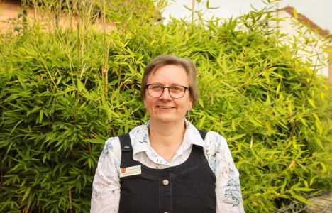 Verwaltungswegweiser - Stadt Grevesmühlen