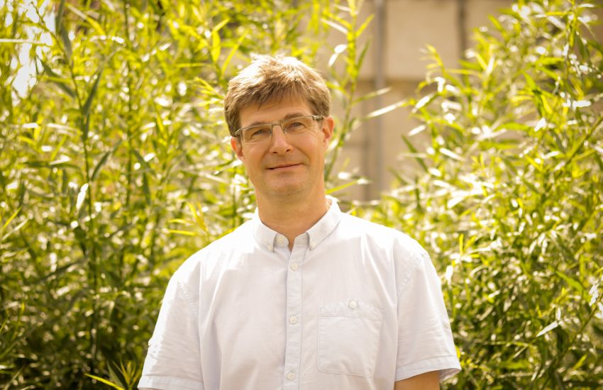 Verwaltungswegweiser - Stadt Grevesmühlen